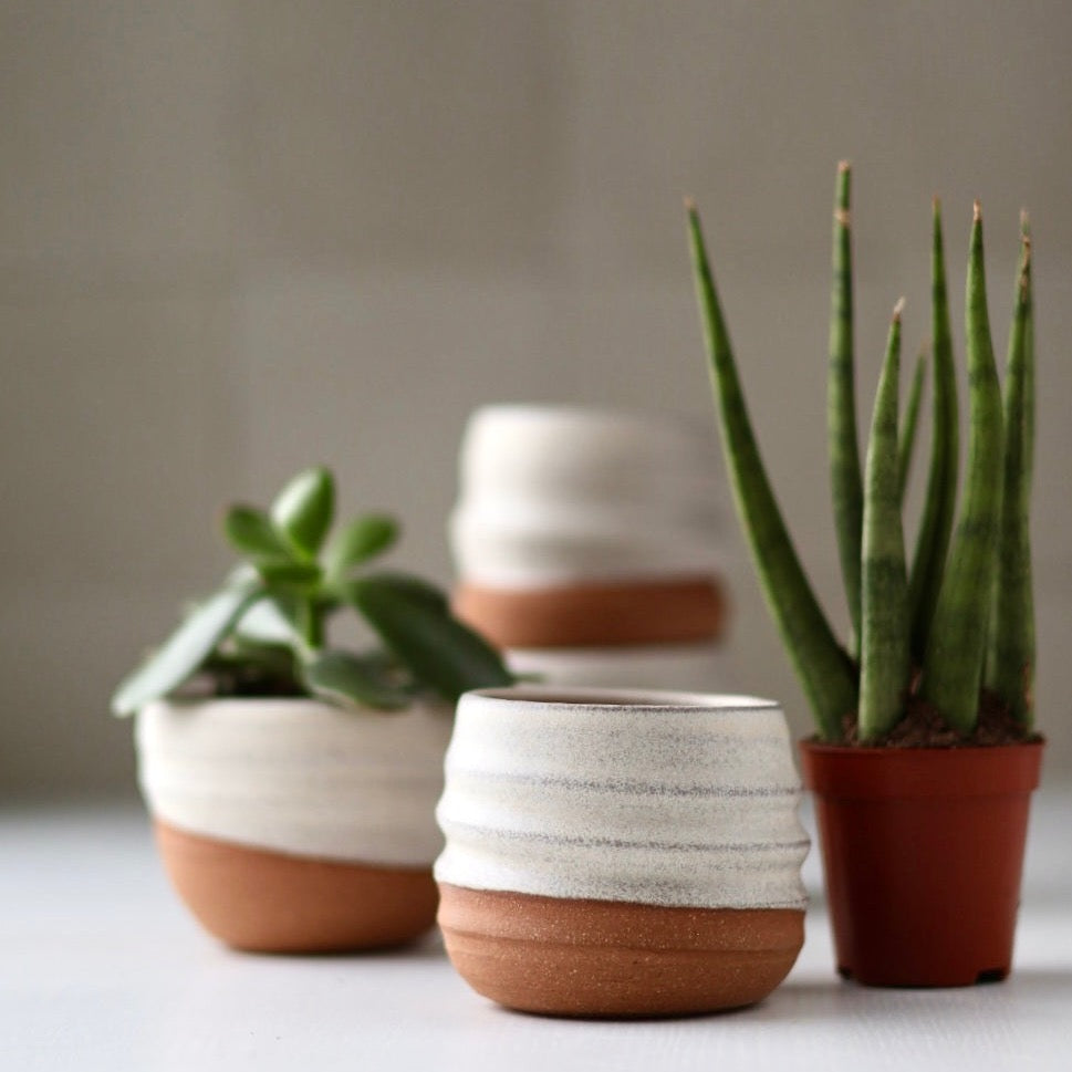 Cream Pottery – tagged "cream pottery" – Rebecca Graves Pottery